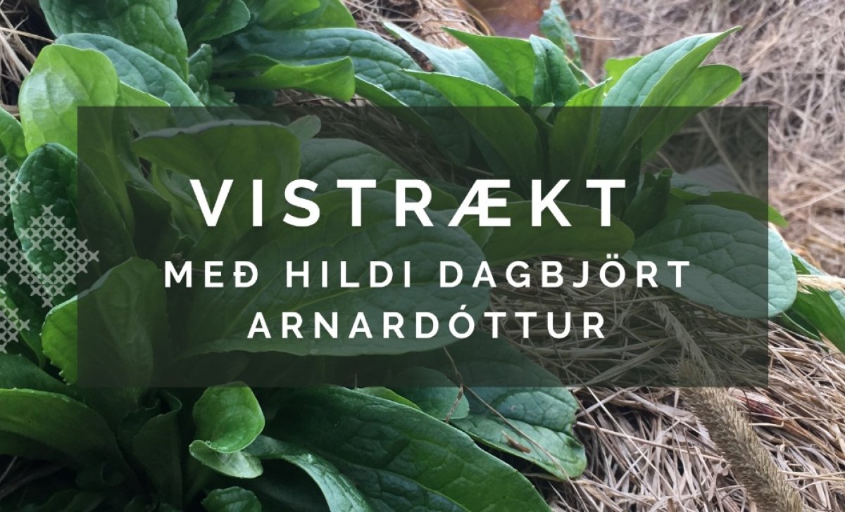 Vistrækt með Hildi - Permaculture with Hildur | Ferdalag.is